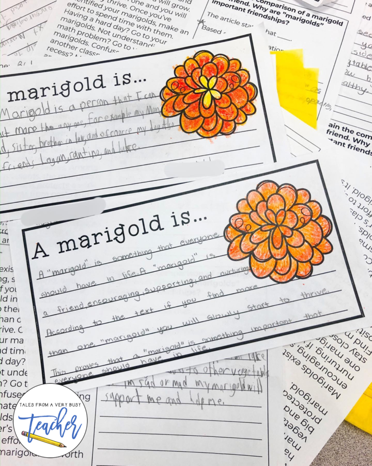 Help Your Students Find their Marigold